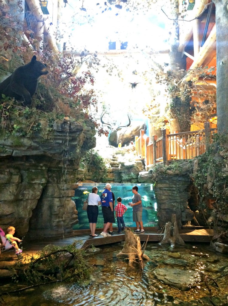 Bass Pro Shops Headquarters & Downtown Springfield