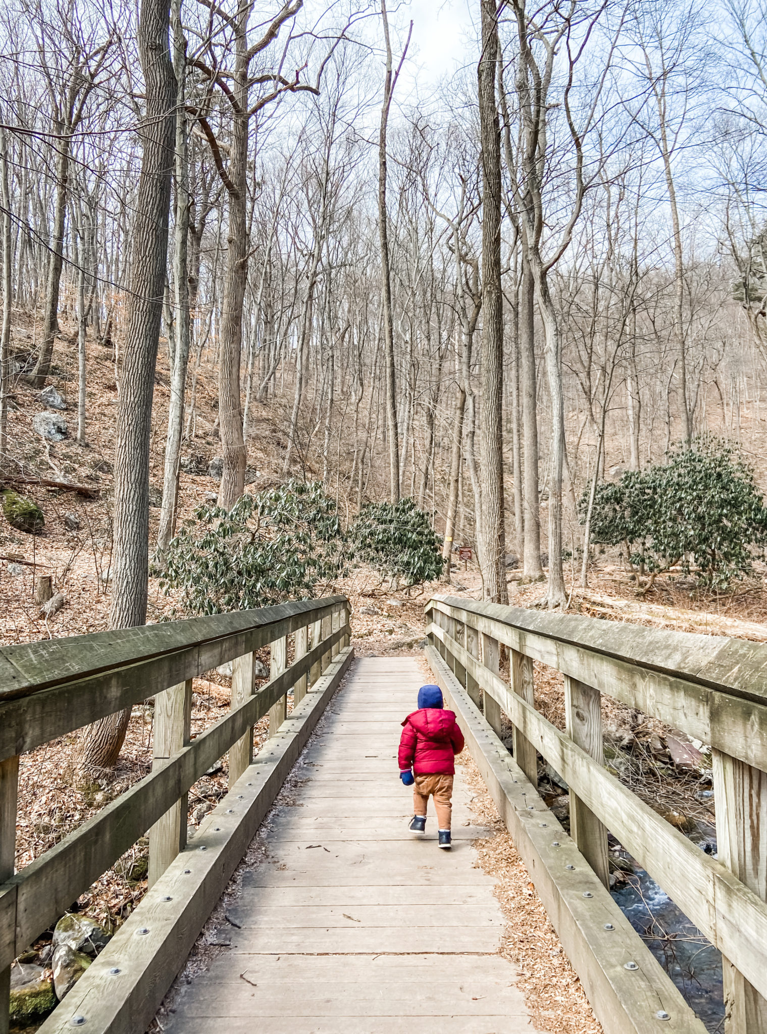 Weekend in The Poconos & Hiking the Appalachian Trail
