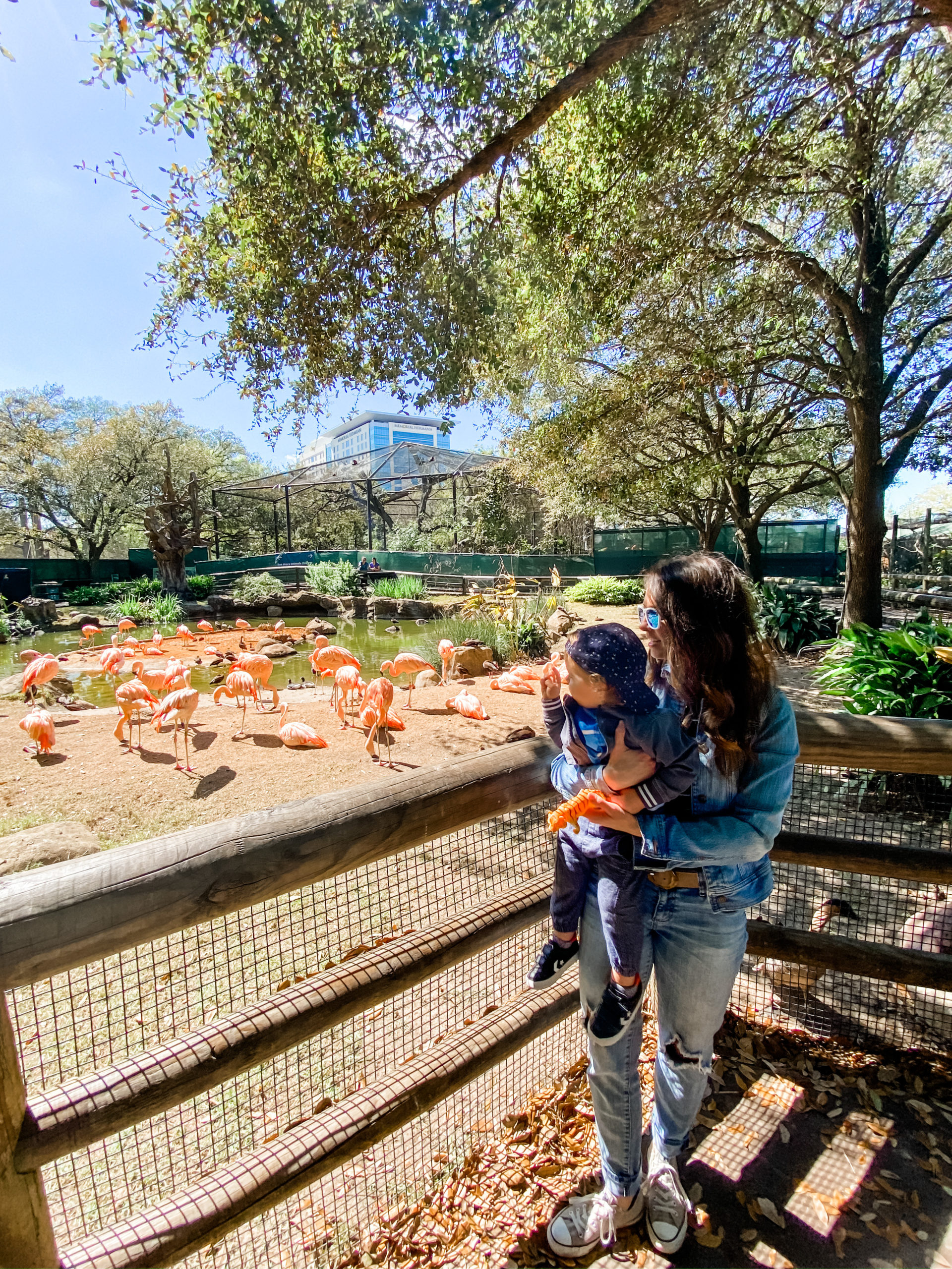 Skyler’s First Zoo Visit & Houston Trip Highlights
